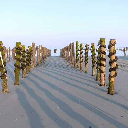 Spécialité Traditionnelle Garantie (STG) ~ Votre interlocuteur pour la ...